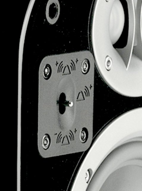 Infinity Classia C255ESBK Two-Way Switchable Two-Channel Surround ...