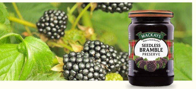 Mackays Seedless Bramble Preserve, 340g : Amazon.in: Grocery & Gourmet ...