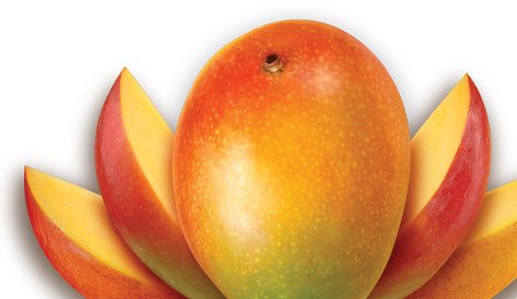 Snapple Mango Madness Juice, 473ml : Amazon.in: Grocery & Gourmet Foods