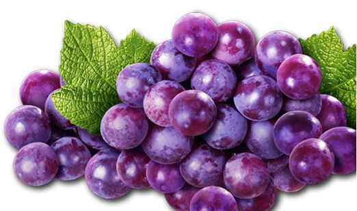 Snapple Grapeade Juice, 475ml : Amazon.in: Grocery & Gourmet Foods